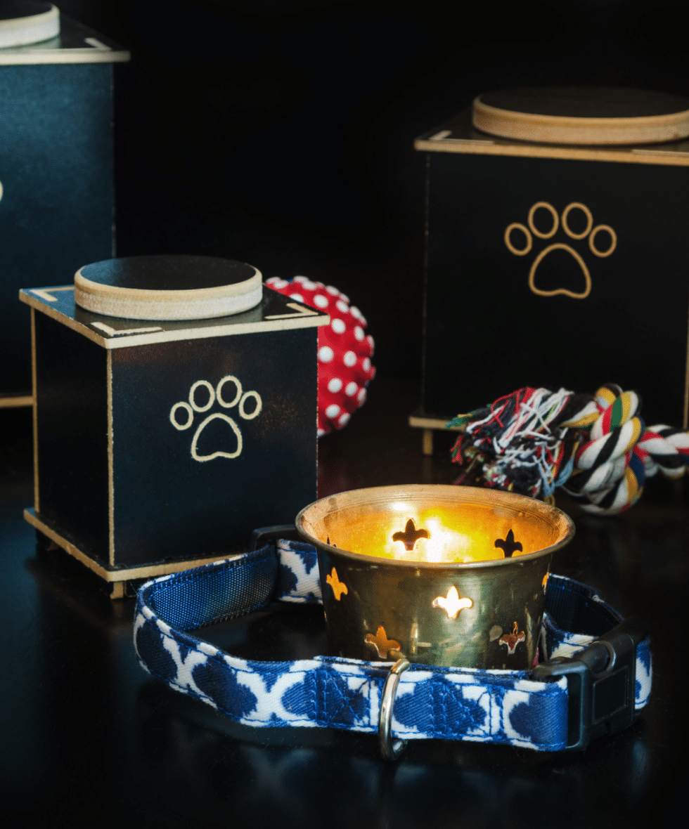 Pet Cremation In Lake Worth, FL | Animal HealthCare Center